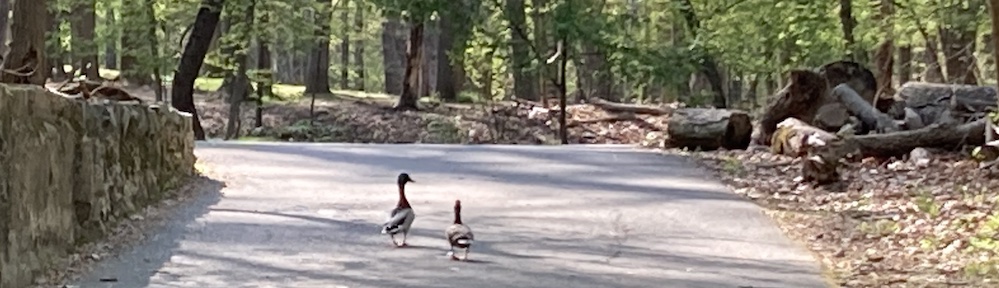 Field Trip Notebook | Time to travel. I'm taking notes.